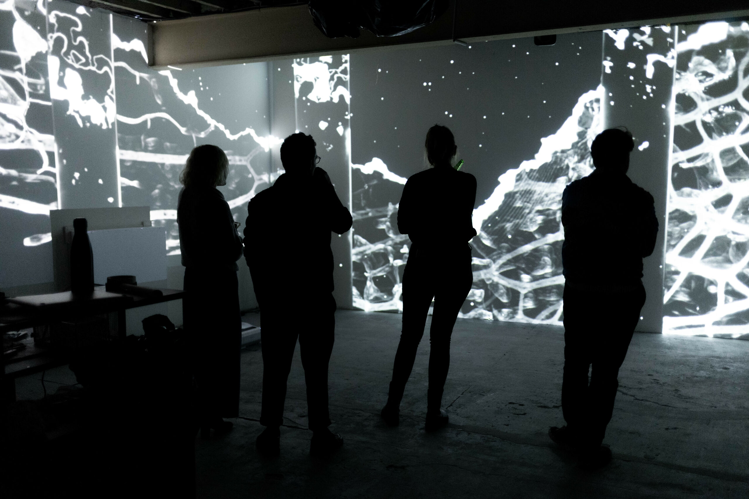 Sneak Peek Into the SUPERLAB - Superbien